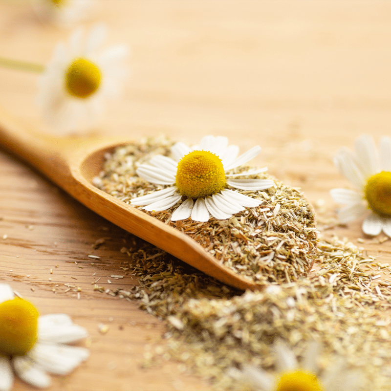 MEDICINAL & COSMETIC - Potager Farm