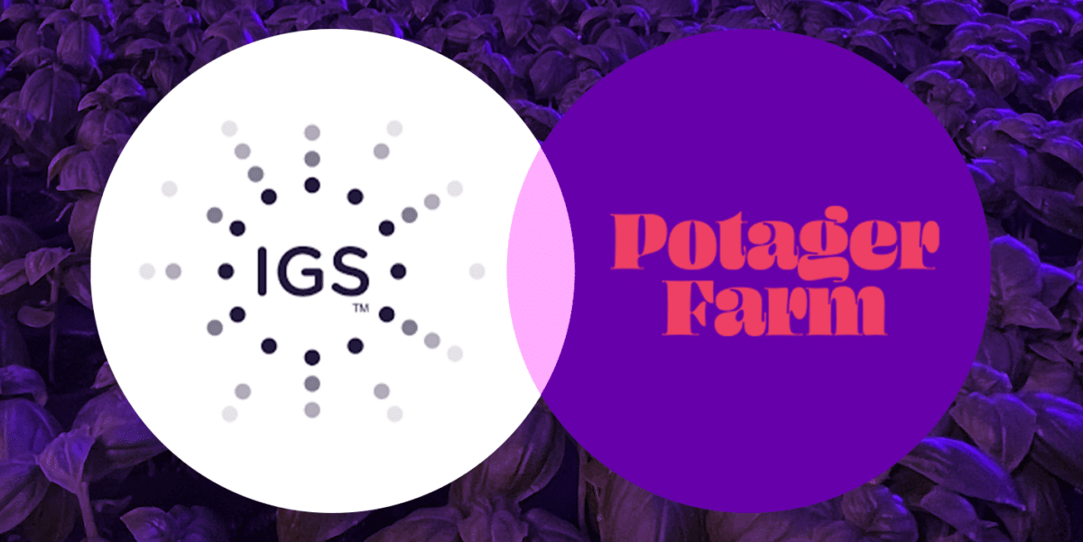 Vertikale Landwirtschaft für Berlin: Unsere Partnerschaft mit IGS ...